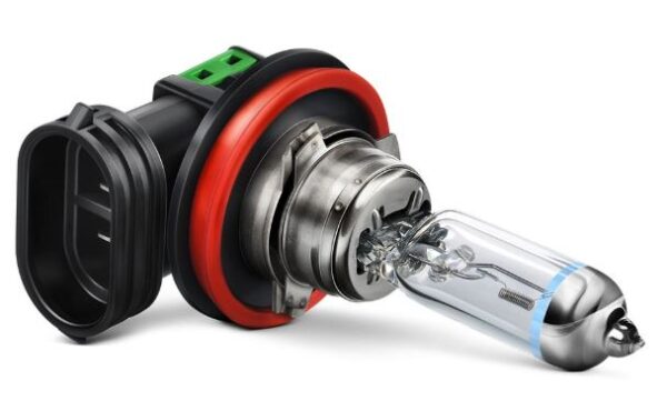 HEAD BULB NORMAL – Tishel